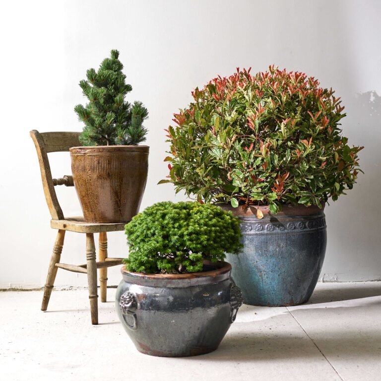 Home - Vrtnarstvo Marolt